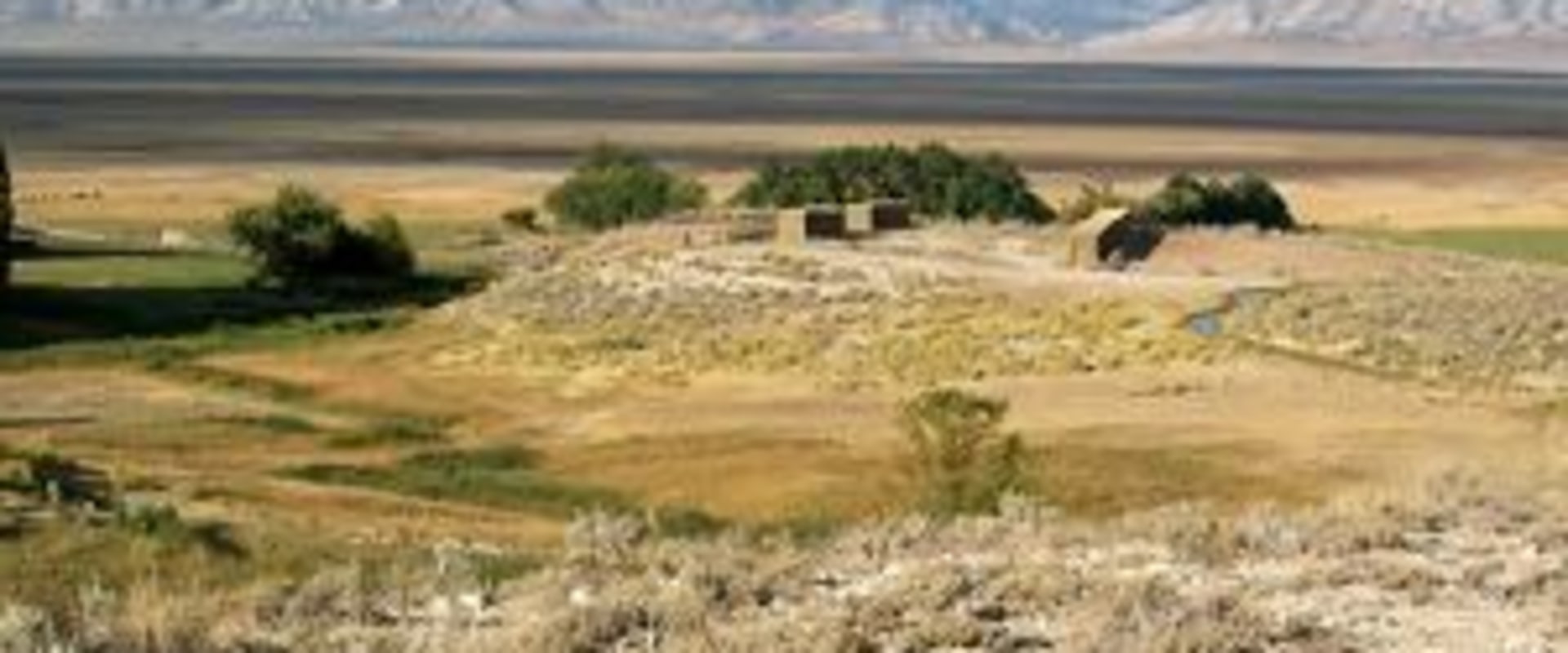 Protecting and Restoring Natural Habitats and Ecosystems in Las Vegas